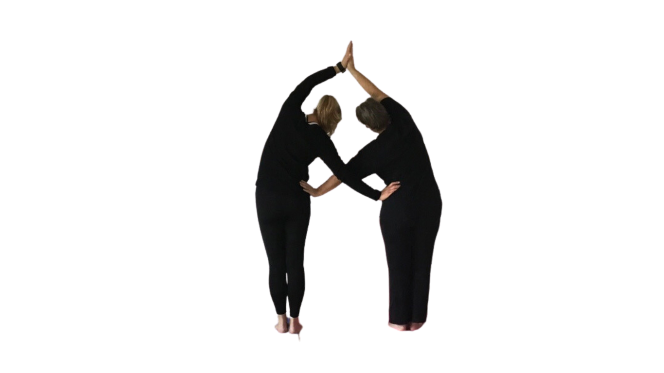 Services – Nimblelimbs