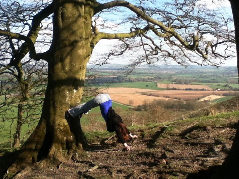 Yoga Chronicles: Navigating the Hilarious World of Mind-Body Mix-ups ...